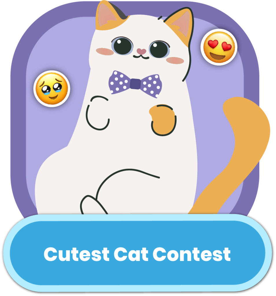Event Special Lineup – Singapore Cat Carnival